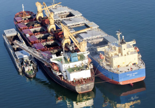 Required Crew for Transhipper Vessel | LEOMARIS SHIP MANAGEMENT PVT LTD